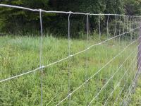 China 1.5m Height Farm Galvanized Design Cattle Mesh Fencing for sale