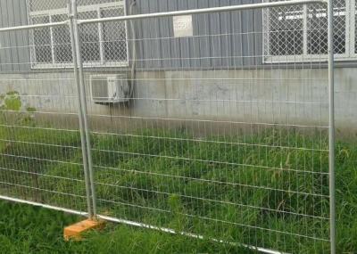 China Leicht zusammengebaute vorübergehende Grenze der Sicherheits-1.8x2.4m, die Platten einzäunt zu verkaufen