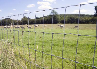 Cina Galvanizzato riparato annodi il cavallo del bestiame di 1.5mm Mesh Farm Fence For Deer in vendita
