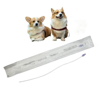 Cina Cateteri urinari per cani veterinari Materiale PVC/Silicone di alta qualità, soluzioni durevoli per la cura degli animali domestici in vendita