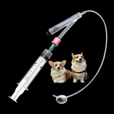 Cina Cateteri urinari per cani veterinari Materiale PVC/Silicone di alta qualità, soluzioni durevoli per la cura degli animali domestici in vendita