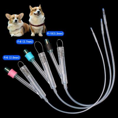 Cina Cateteri urinari per cani veterinari Materiale PVC/Silicone di alta qualità, soluzioni durevoli per la cura degli animali domestici in vendita