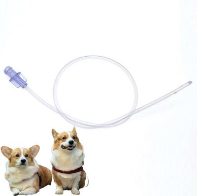 Cina Cateteri urinari per cani veterinari Materiale PVC/Silicone di alta qualità, soluzioni durevoli per la cura degli animali domestici in vendita