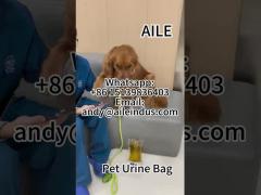 Chat et Chien 300ml/500ml/1000ml Sac d'urine vétérinaire jetable Soins urinaires pour animaux de compagnie