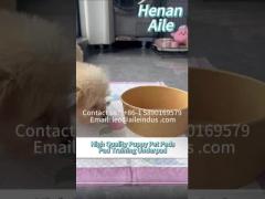 Le tapis de chat rapide pour l‘entraînement du vagin. Il nastro di chat rapido per l‘allenamento della vagina.