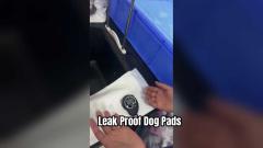 Quick-Drying Leak-Proof Disposable Dog Bed Cover and Pet Pads for All-Day Protection Showcase
