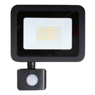 China 10w economico ha condotto luminosità esile all'aperto IP66 della luce di inondazione dello stadio l'alta for sale
