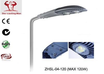 Cina L'iluminazione pubblica di alluminio del CE IP66 LED della pressofusione che alloggia 120 watt con il driver di Meanwell LED in vendita