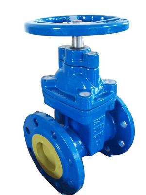 China (BS) Cast Iron Resilient Gate Valve nor-rising stem for sale