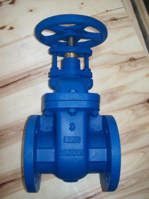 China (BS) Cast Iron Gate Valve Flanged Ends for sale