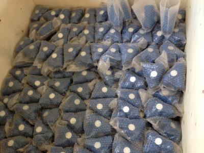 China ANSI y strainer threaded ends for sale