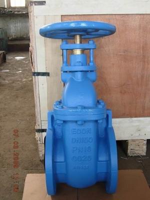 China (BS) Cast Iron Gate Valve NRS for sale