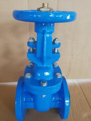 China (bs) Cast Iron Metal Gate Valve O&Y flanged ends for sale