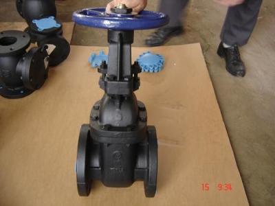 China (bs) Cast Iron Metal Gate Valve O&Y flanged ends for sale