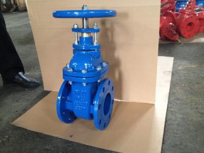 China (BS) Cast Iron Gate Valve NRS for sale