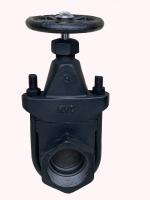 China cast iron clip gate valve for sale
