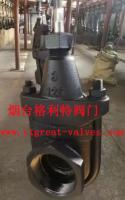 China cast iron clip gate valve for sale