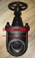 China cast iron clip gate valve for sale