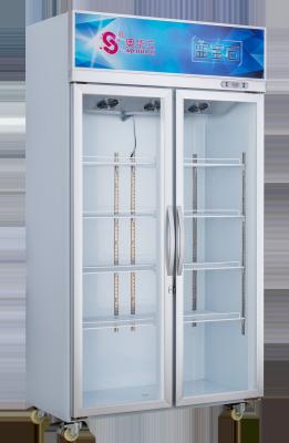 China Silent Compressor Commercial Display Refrigerator Low Noise Double Door Glass Fridge for sale