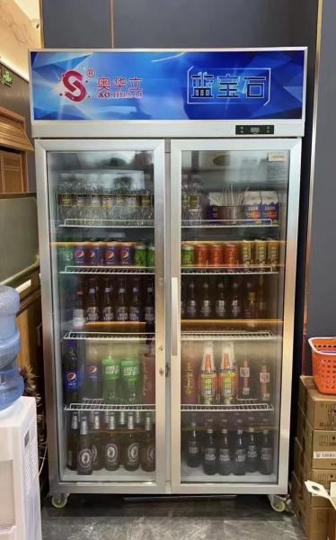 Quality Adjustable Commercial Display Refrigerator Safety 584L 2 Door Display Cooler for sale