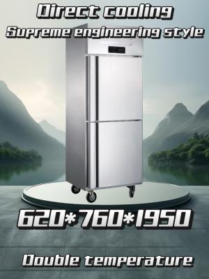 China 600L 2 Door Commercial Freezer 310W 240V Commercial Kitchen Refrigerator Freezer for sale