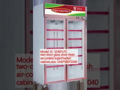 910L 220V 2 deuren glazen deuren vriezer handig dubbele deuren display vriezer