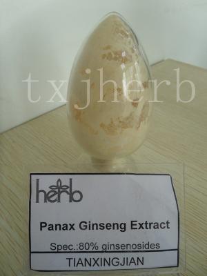 China Ginseng Extract,Panax Ginseng.,Ginsenosides 10%20%80% for sale
