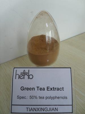 China Green Tea Extract,Camellia sinensis,Polyphenol 98%,Catechins 80%,EGCG 60%,Caffeine 0.5% for sale