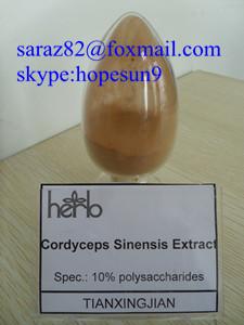 China Sporocarp Cordyceps Extract, Cordyceps Polysaccharides 10% for sale