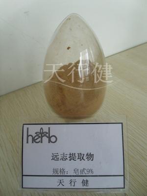 China Polygala Tenuifolia Extract for sale
