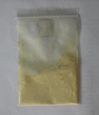 China American Ginseng Extract,Panax quinquefolium L. for sale