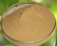 China Ziziphus Jujuba Extract 2% Jujuboside for sale