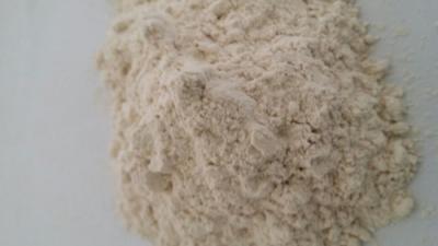 China instant Tuckahoe powder for sale