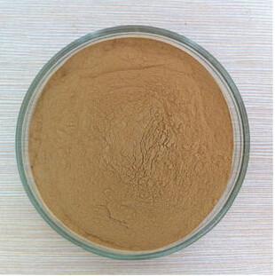 China Shiitake Mushroom Extract/Lentinus edodes for sale