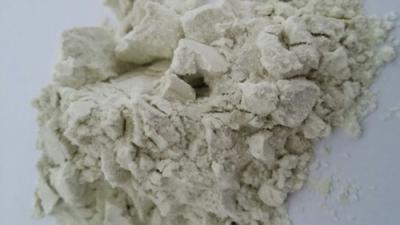 China instant Celery Powder for sale