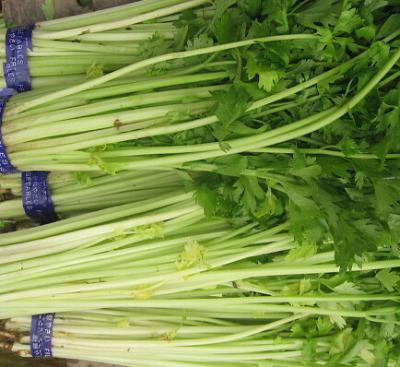 China pure natural Celery Powder for sale