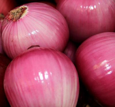 China instant onion powder for sale