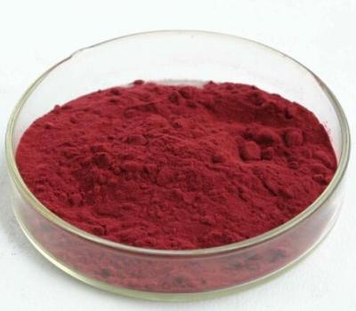 China bilberry /cranberry/ blueberry extract anthocyanins 25%, Cas No.:84082-34-8 for sale