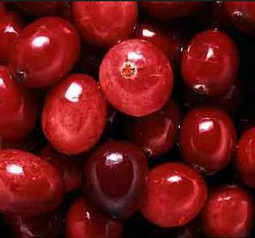 China 100% Natural Bilberry/Cranberry/blueberry P.E. (25% Anthocyanidins) for sale
