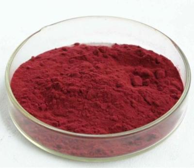China Elderberry Extract/Sambucus williamsii Hance/Anthocyanidins(by UV) 25%,Anthocyanins/Anthoc for sale
