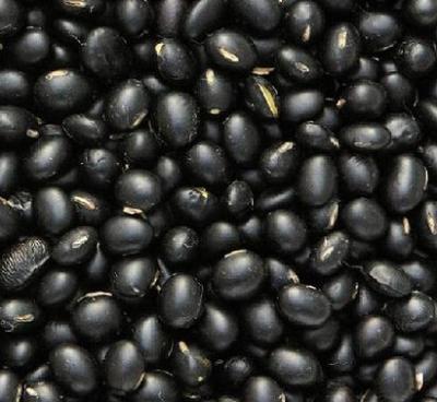 China Black Soybean Peel Extract,Black Soybean Peel Extract Powder,Black Soybean Peel P.E. for sale