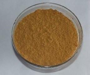 China Devil's Claw Root Extract Harpagoside CAS NO 19210-12-9 for sale