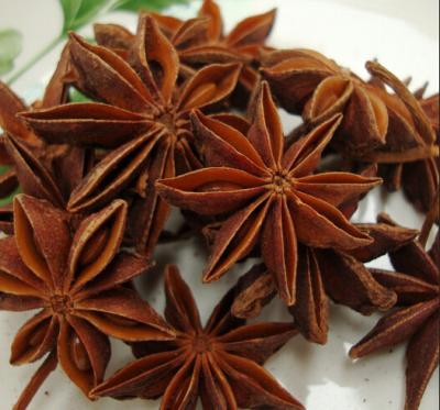 China 98% Shikimic Acid,Star anise extract,Star anise extract powder,Star anise P.E. for sale