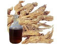 China Natural Angelica Root Oil/Angelica Root Essential Oil for sale