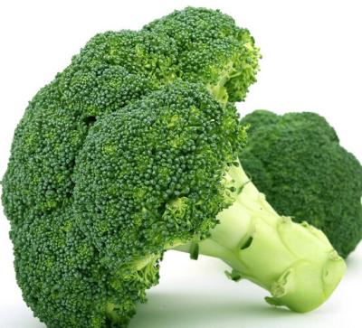 China Broccoli Extract, Broccoli Sprout Extract, Sulforaphane 0.5%-98% for sale