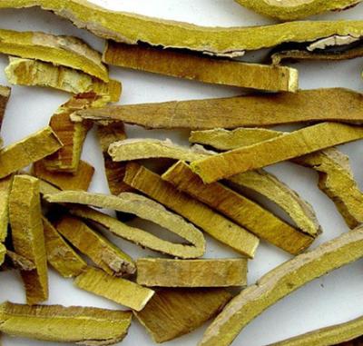 China Amoorcom Tree Bark Extract,Cortex Phellodendri Chinensis Extract 10:1 for sale
