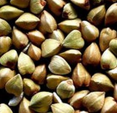 China Buckwheat Extract,Fagopyrum esculentum Seed Extract (5%96%D-chiro-inositol, 10:1,20:1) for sale