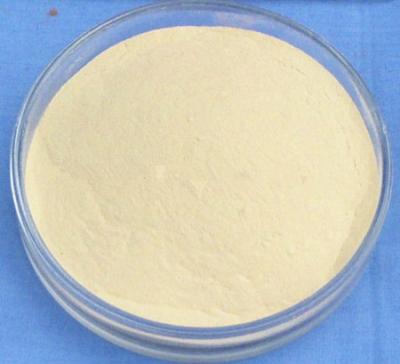China 98% Sodium Salvianic Acid A,Salvia Miltiorrhiza Root extract CAS No.:67920-52-9 for sale