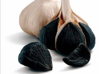 China Fermented Black Garlic Extract,Black Garlic Extract powder,Black Garlic powder 10:1 for sale