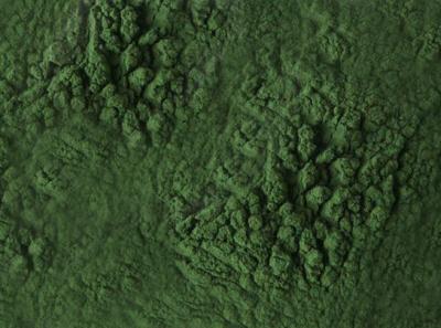China Natural Spirulina Powder,Chlorella Powder for sale